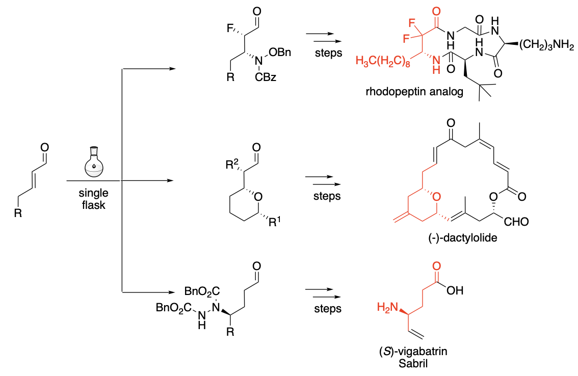 Research – Stacey Brenner-Moyer