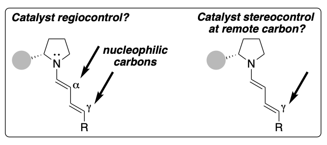 Research – Stacey Brenner-Moyer