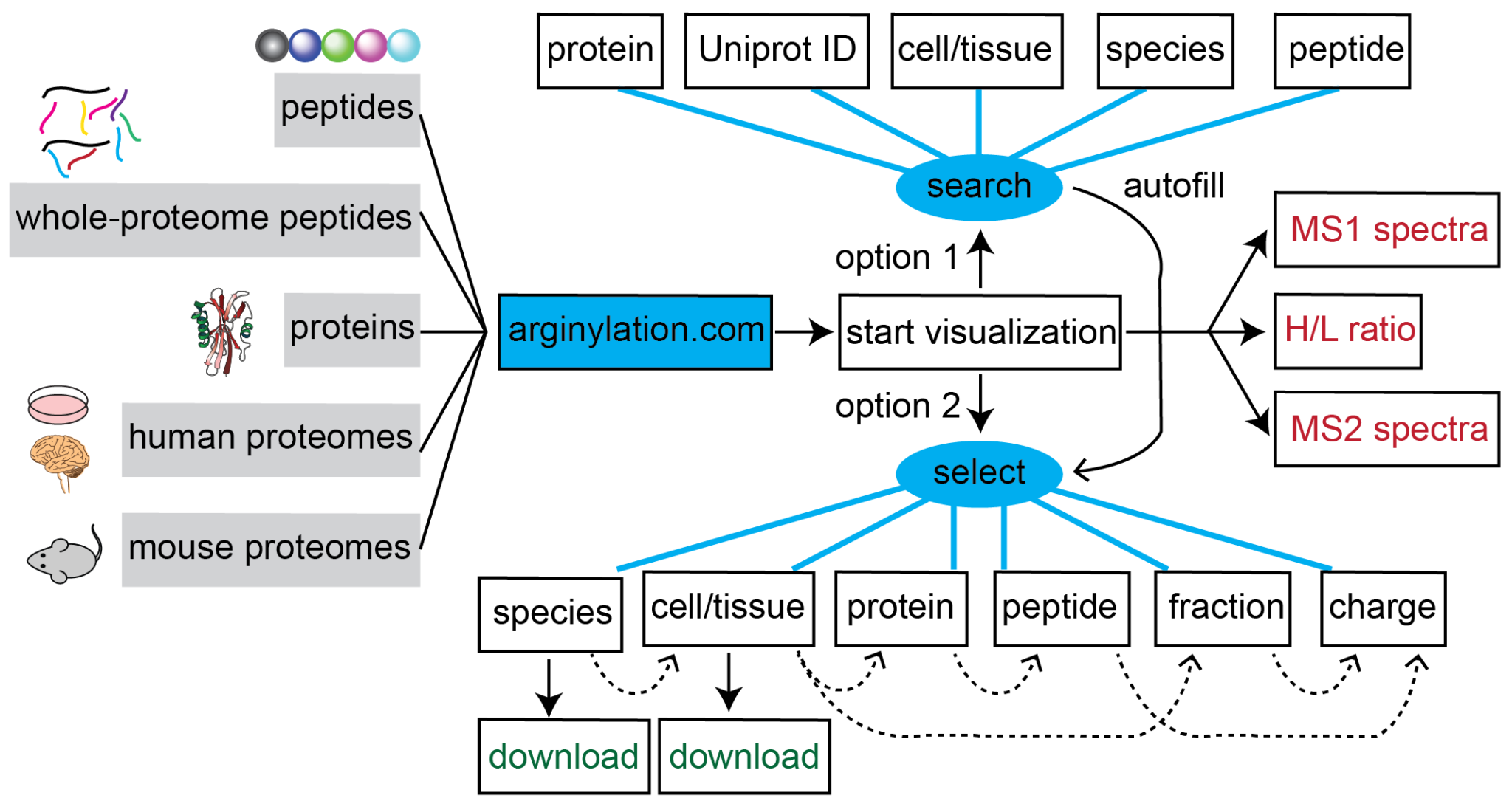 Research – Tom Lin Lab