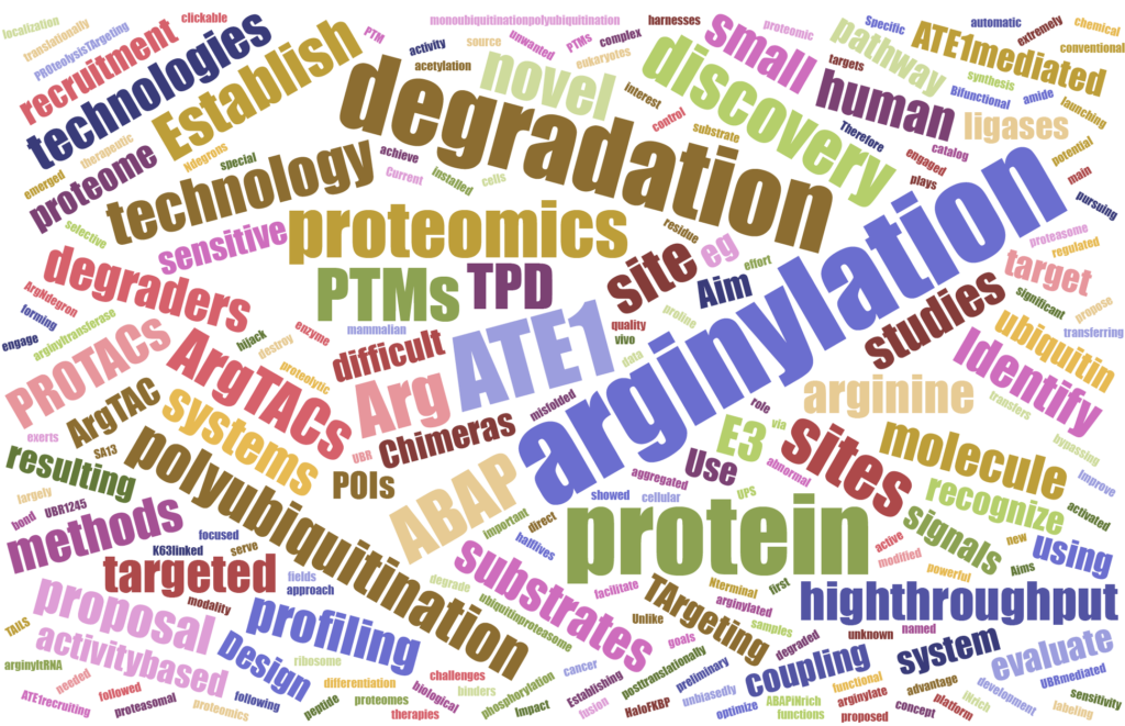 Research – Tom Lin Lab