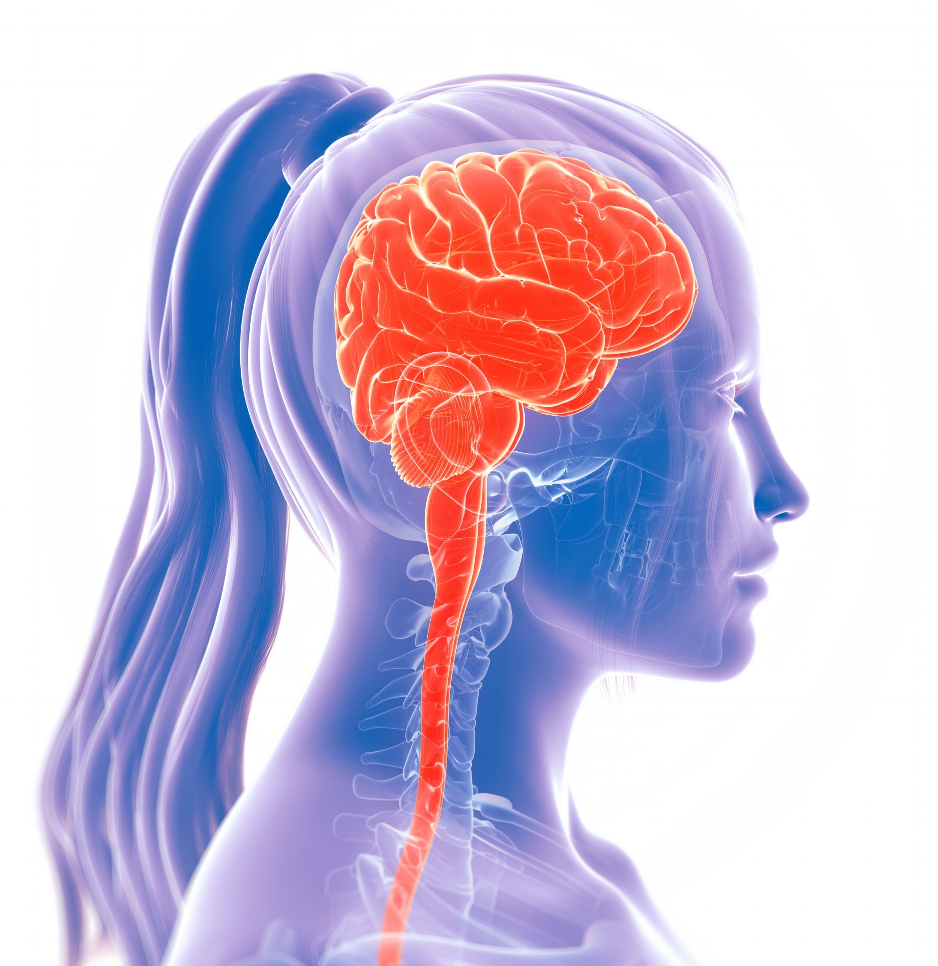 New publication on ruminative thoughts about the past — why are they so ...