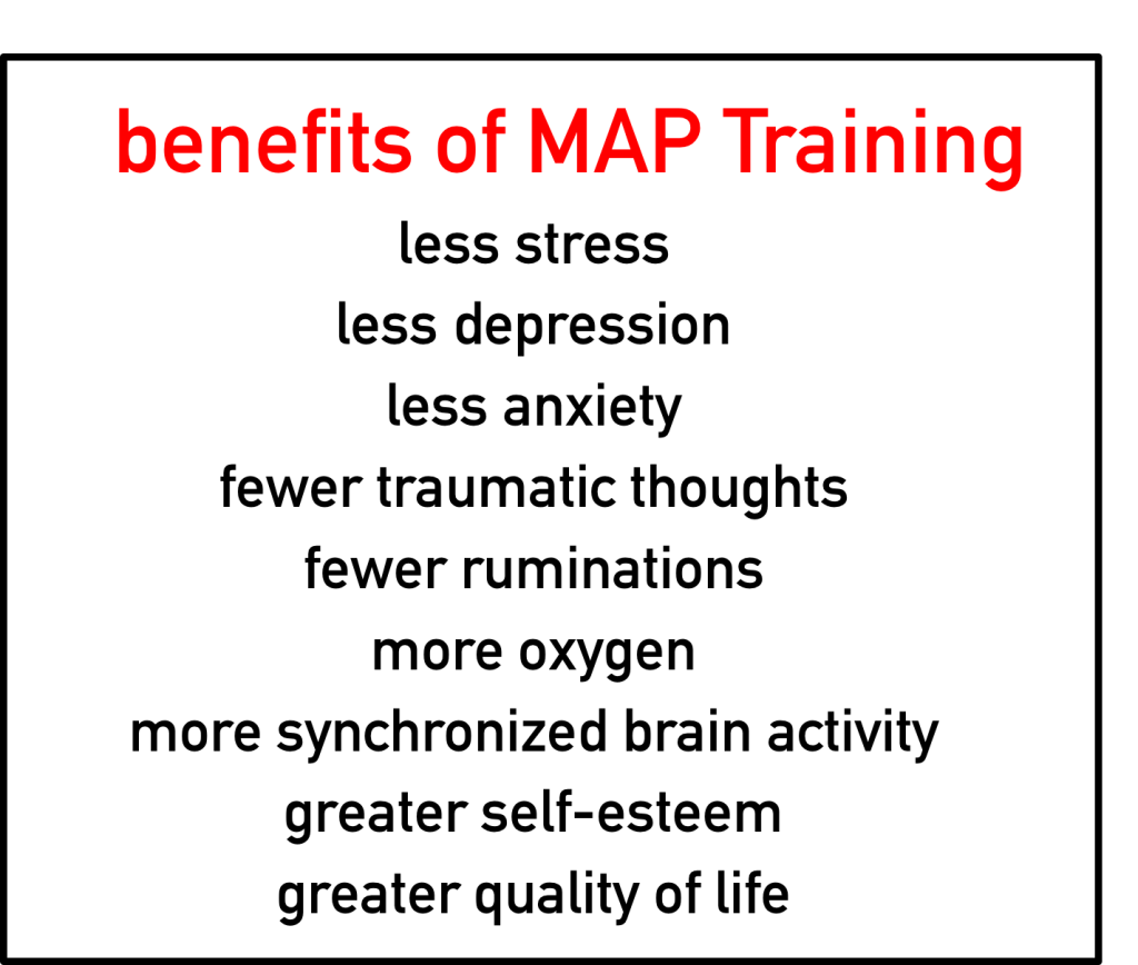 MAP TRAIN MY BRAIN – Tracey Shors