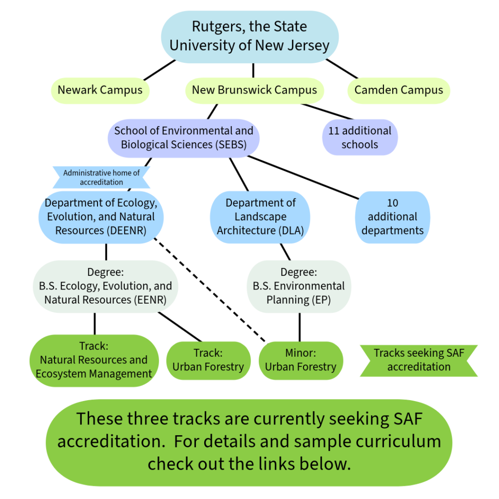 Academic Program – Urban Forestry Program