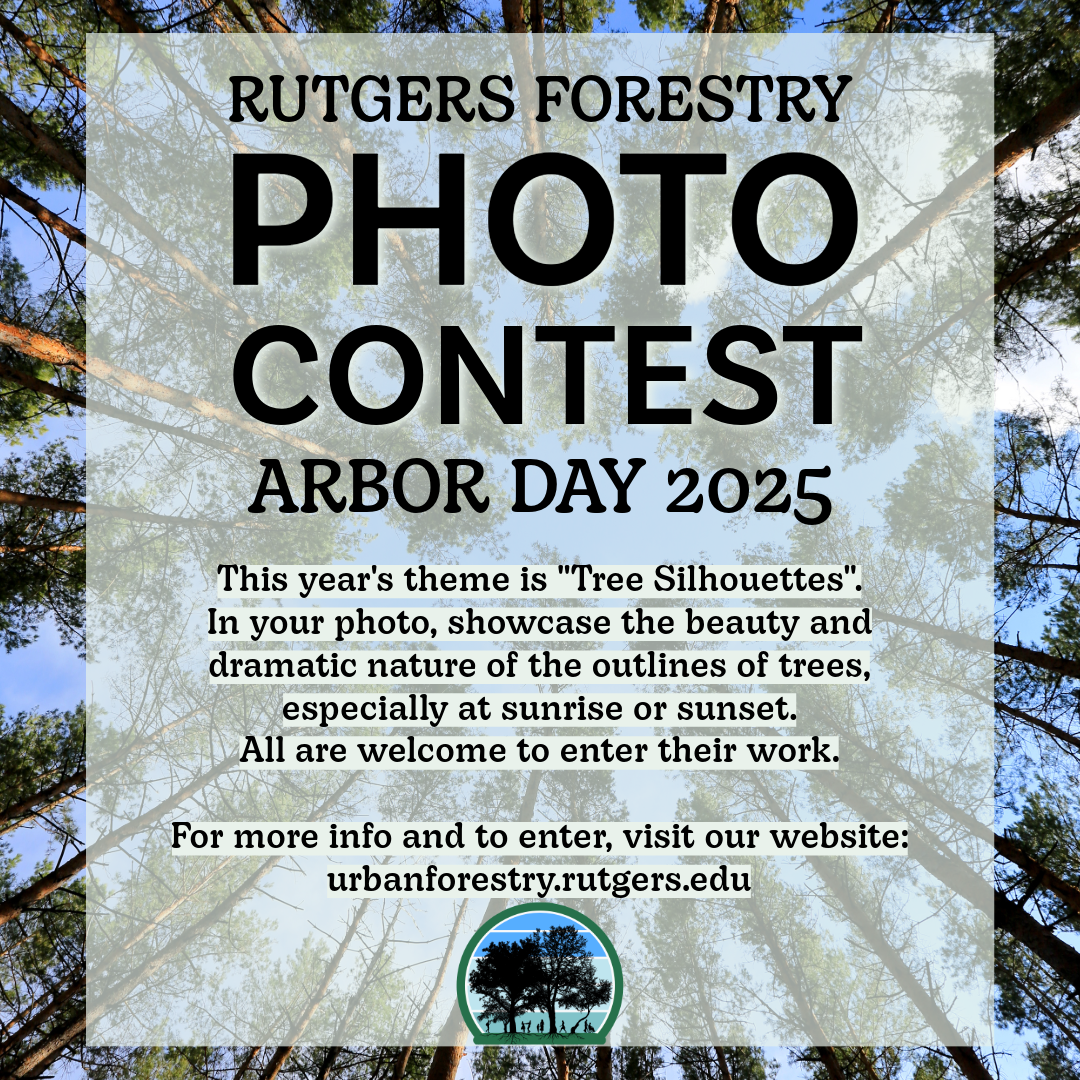 Arbor Day Photo Contest 2025 - Urban Forestry Program