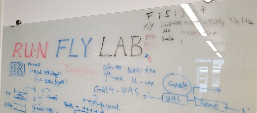 Contact – Wong Lab